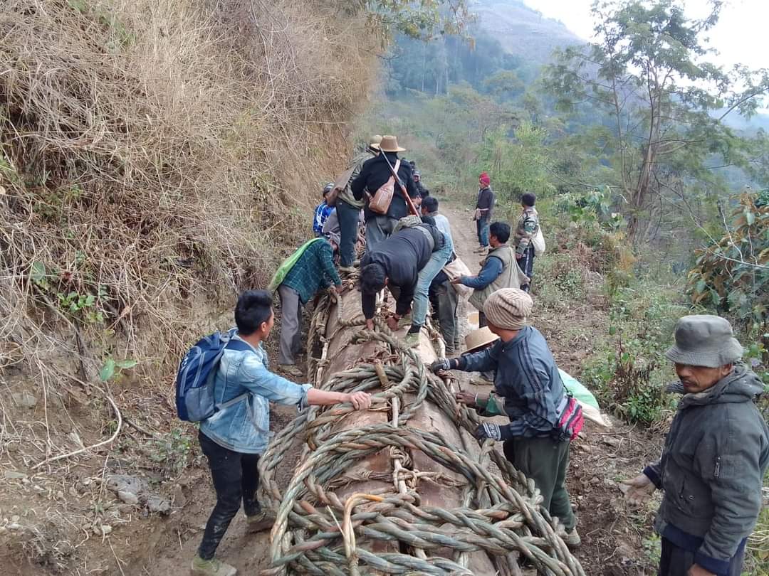 Inspirational! Naga villagers pulls log drum using traditional method